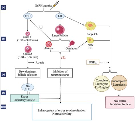 Gonadotropin Releasing Hormone Gnrh And Its Agonists In Bovine