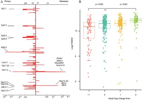 The Characteristic Of Focal Copy Number Alterations A Focal Download Scientific Diagram