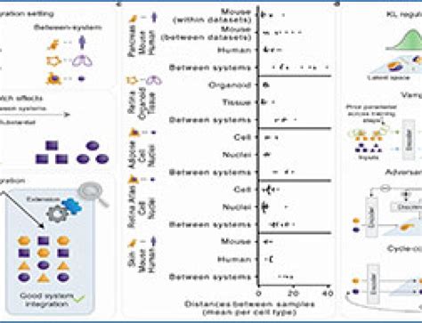 Seuratextend Streamlining Single Cell Rna Seq Analysis Through An Integrated And Intuitive