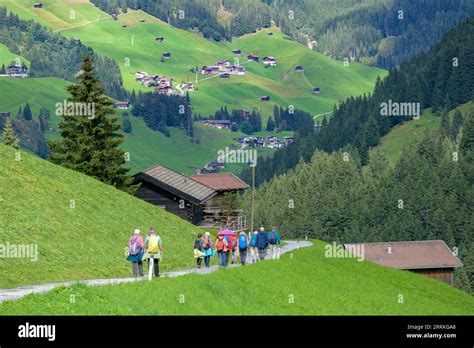 Austria Tyrol Zillertal Hiker In Tuxertal Stock Photo Alamy