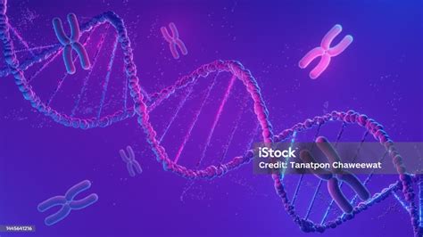 Dna Spiral Structure Dna Helix Complementary Strand Of Sequences