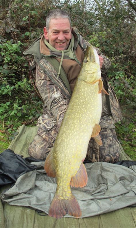 Darryn Stolworthy Winter Roaming