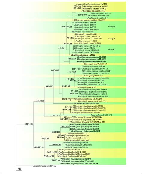Phylogenetic Tree Obtained From Maximum Parsimony Analysis Of Its