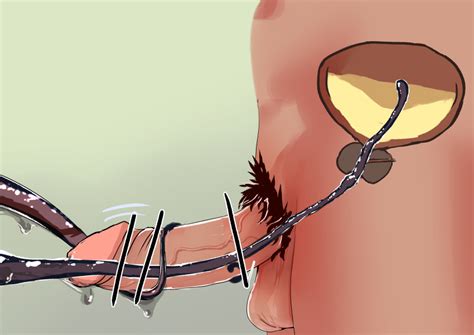 Rule 34 1boy Anatomically Correct Bladder Humanoid Penis Internal