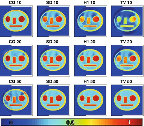 Reconstructions After 10 20 And 50 Iterations For The Ill Posed Download Scientific Diagram