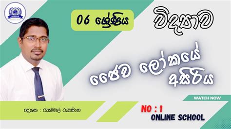 ජෛව ලෝකයේ අසිරිය Grade 06 විද්‍යාව Youtube