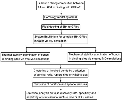 Ensemble Workflow Of Computational Procedure Download Scientific