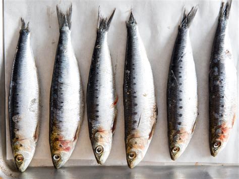 How To Clean And Fillet Fresh Sardines