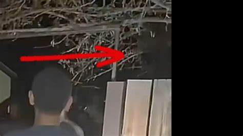 Aliens Were Tinkering With Equipment In Las Vegas Backyard Says Expert