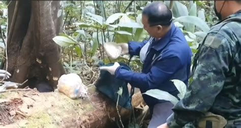 Bbc Burmese ထိုင်း မြန်မာနယ်စပ်မှာ Facebook