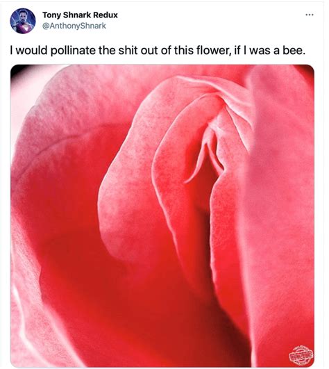 Things Are Too Damn Depressing Page 5 Xnxx Adult Forum