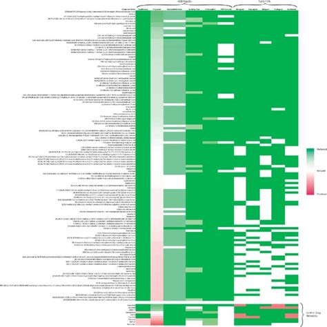 Heatmap Summary Of In Silico Admet Properties Of The Top Performing