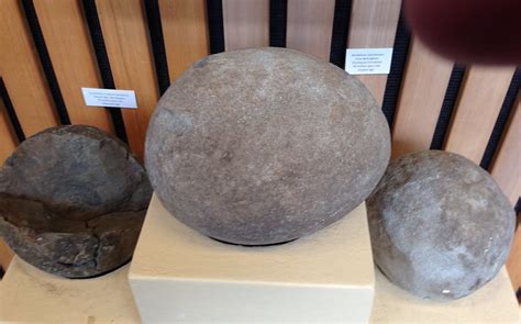 Fossils And Pseudofossils In The The Chuckanut Formation Part 1 Flora