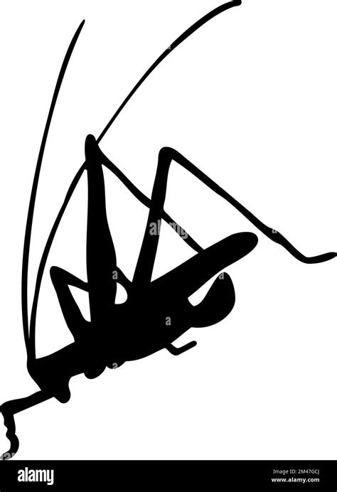 Silhouette Of Grasshopper Grasshopper Close Up Detailed Vector Grasshopper Icon On White