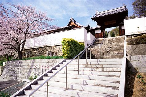 龍穏寺境内墓地 松山メモリアルヒルズ 石材振興会