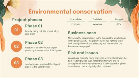 Infografía Propuesta De Proyecto De Conservación Ambiental