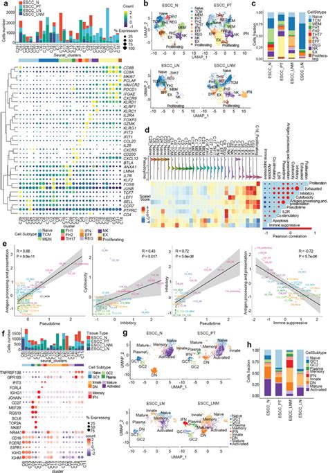 Distinct States Of T Cells B Cells In ESCC A Differential Expression