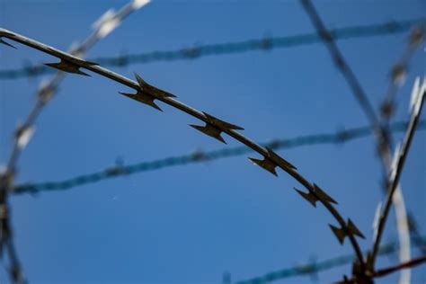 Barbed Wire Free Stock Photo Public Domain Pictures