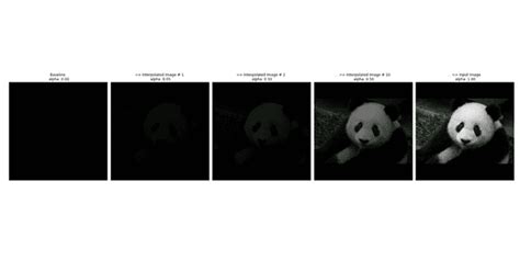 Use Explainable AI To Prove Image Classification Works