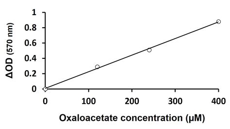 Oxaloacetate Assay Kit Colorimetric Arg82187 Arigo Biolaboratories