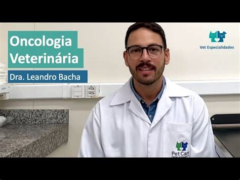 Vet Especialidades Oncologia Veterinária Dr Leandro Bacha YouTube