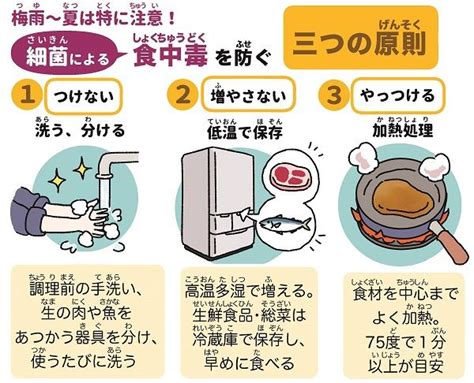 食中毒の原因は時期によってちがう 子どもに聞かれて説明できる？ ｜ 朝日小学生新聞 朝日中高生新聞