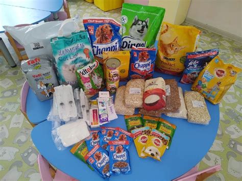 В МДОУ Детский сад №133 в группе Капелька №1 была организована акция помощи бездомным