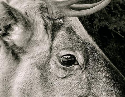 Волшебные фото от Jorma Luhta