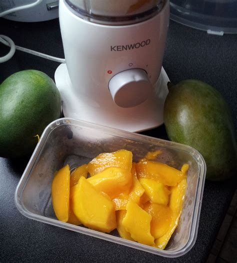 Quickie Smoothie