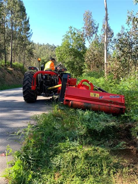 Limpeza De Terrenos Pinhais Matas Quintas Esgueira OLX Portugal