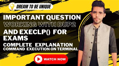 Working With Dup2 And Execlp Command Line Execution Pstree