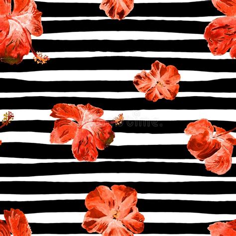 Hibiscus Seamless Pattern With Lines Stock Illustration Illustration