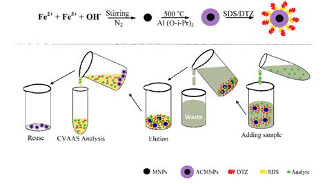 Procedure For Magnetic Solid Phase Extraction Download Scientific