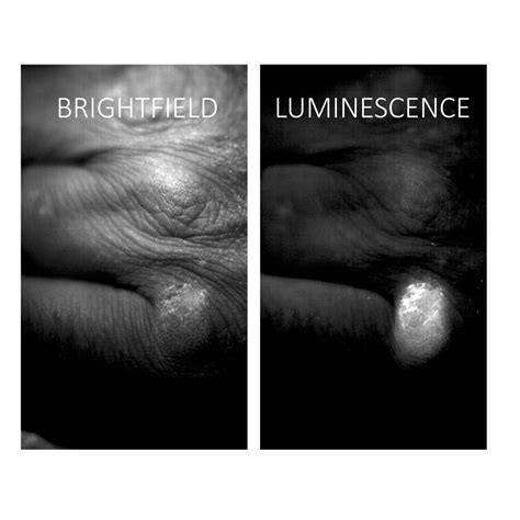 Multispectral Imaging Systems Spectral Devices
