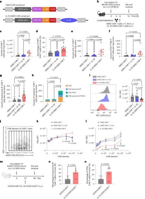 Il 10 Expressing Car T Cells Resist Dysfunction And Mediate Durable