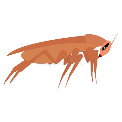 Brown Long Cockroach Side View Template Part For Design Isolated Illustration On White
