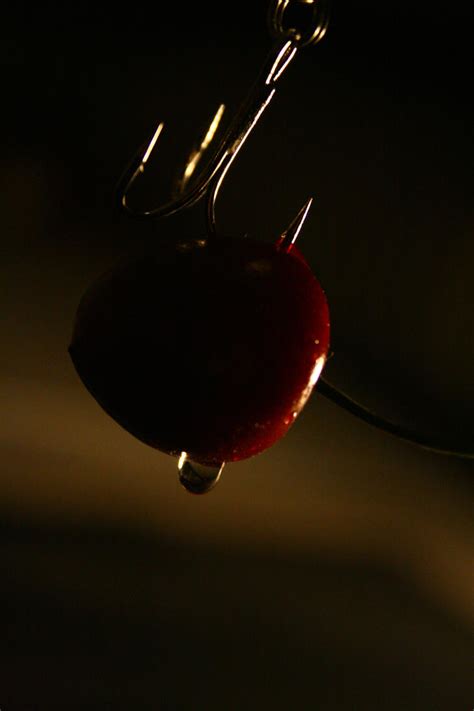 Sexy Cherry By The Condor On DeviantArt