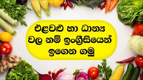 එළවලු හා ධාන්‍ය වල නම් ඉංග්‍රීසියෙන් ඉගෙන ගමු Vegetables And Grain