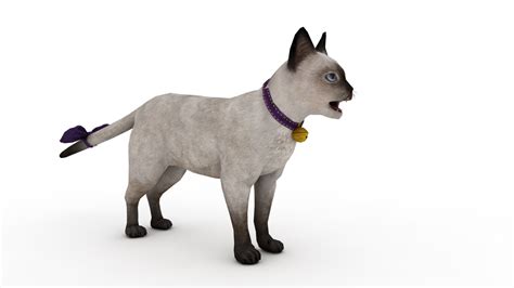 3d Cat Model Turbosquid 2238586