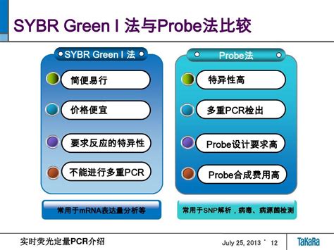 实时荧光定量PCR介绍 word文档在线阅读与下载 无忧文档