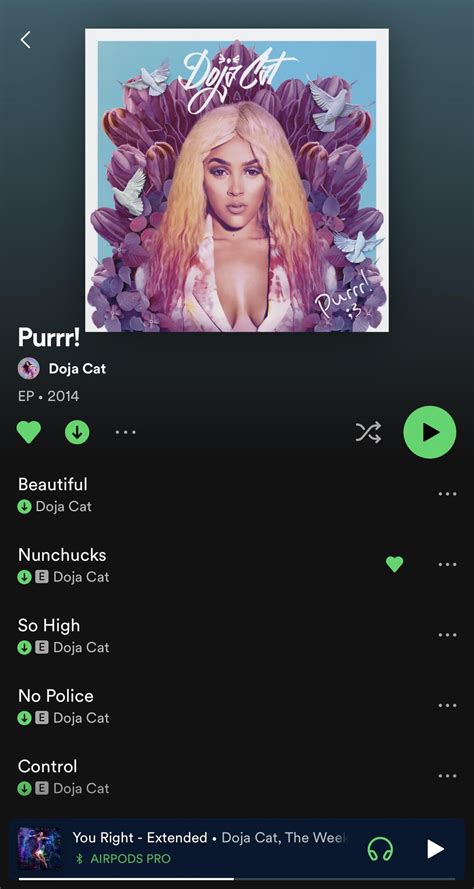Im I The Only One That Thinks Purrr Was A Great Release Even Though Its A Completely