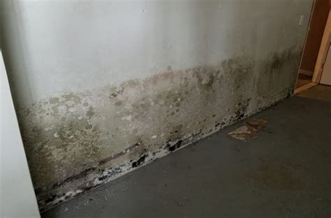 How To Clean Basement Concrete Floor After Flood Flooring Site
