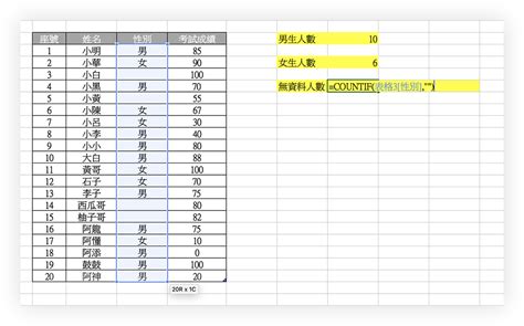 Excel 小技巧：計算某一個表格值出現多少次數，必學的 Countif 指令 蘋果仁 果仁 Iphoneios好物推薦科技媒體