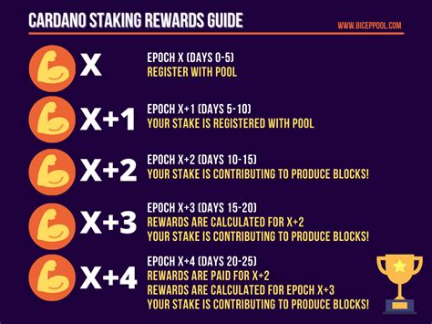 Best U Bicep Pool Images On Pholder Cardano Staking Rewards Guide