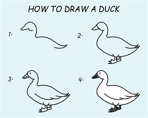 How To Draw A Duck Step By Step How To Draw A Cute Cartoon Rubber