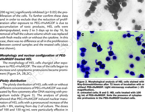 Counts Of Viable Hel Cells At Trypan Blue Dye Exclusion After
