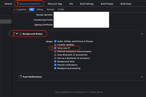 Using The Callkit Voip Capacitor Plugin For Ios Development