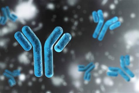 Topologically Designed Antibody Candidates For Sars Cov 2 And Cancer