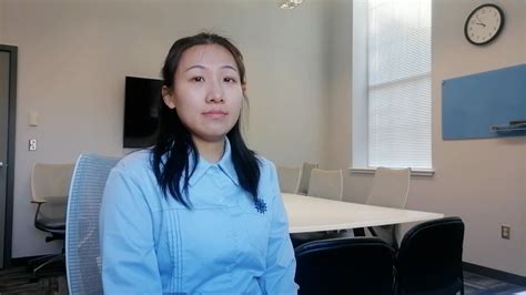 Video Intravascular Ultrasound Image Based Finite Element Modeling Approach For Quantifying In