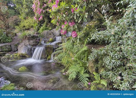 Garden Waterfall In Spring Stock Photo Image Of Garden